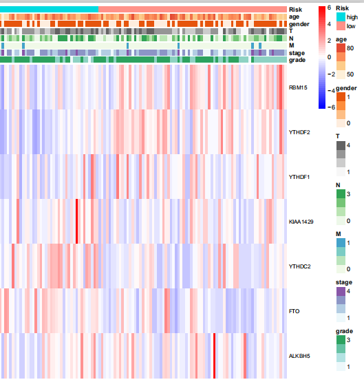 求助各位大佬，pheatmap包怎么调整注释，让它分两列 - 经管之家